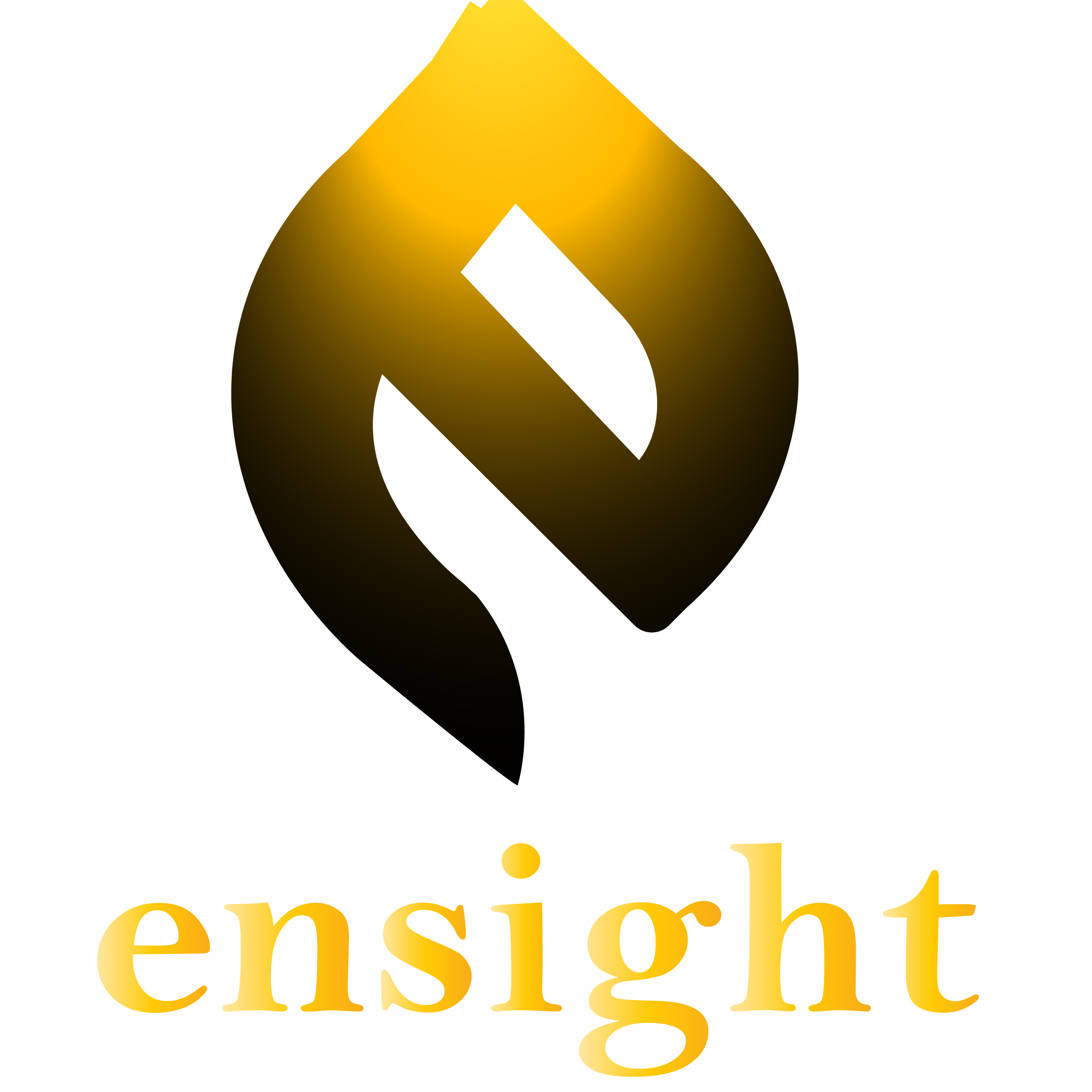 Ensight Coaching Solutions