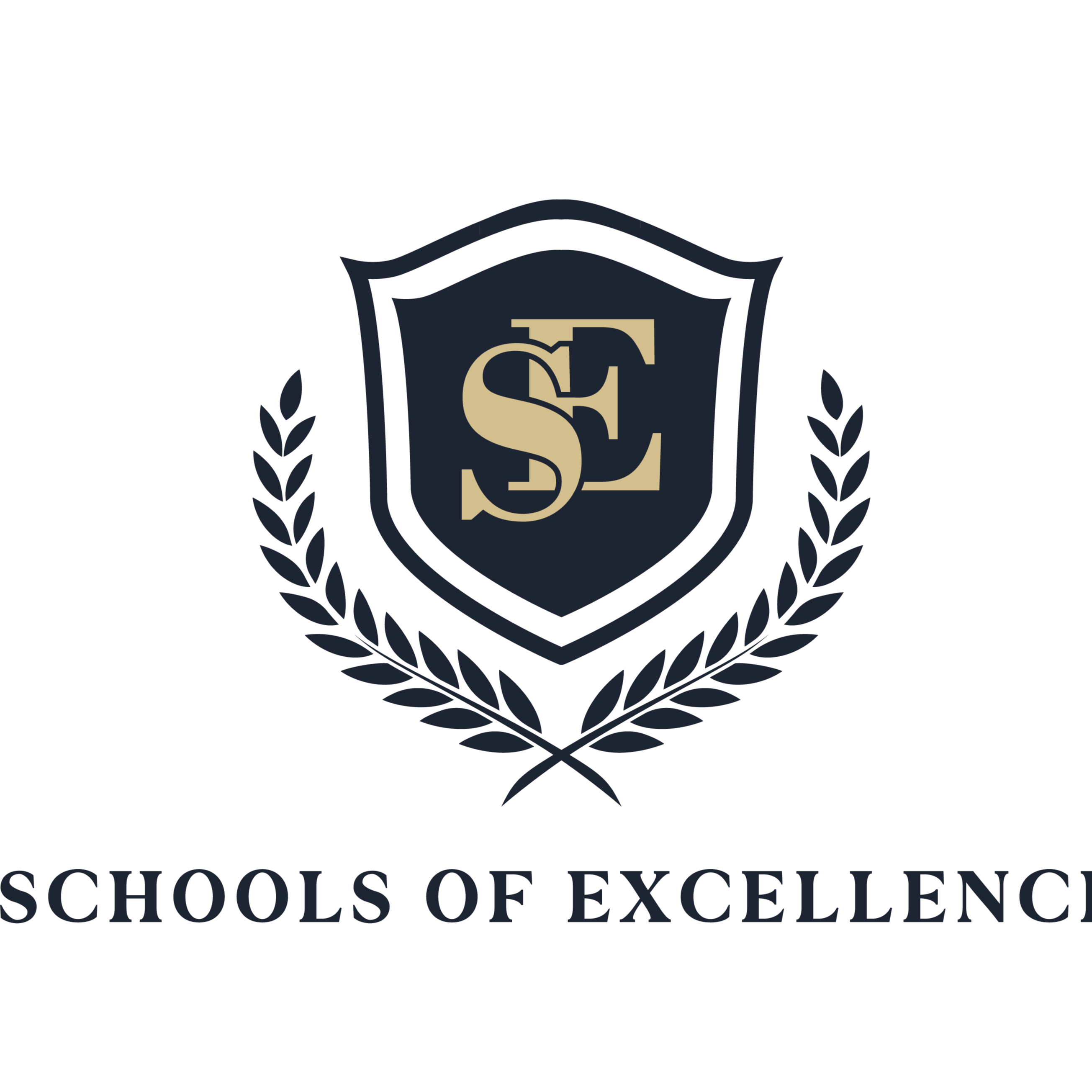 Schools of Excellence